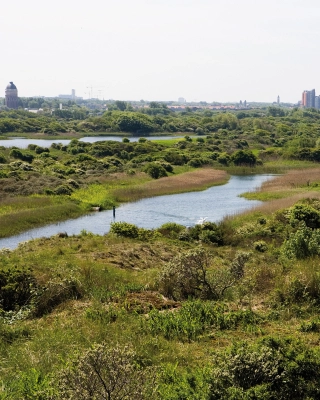 Alternative drinking water supply Dunea - Iv